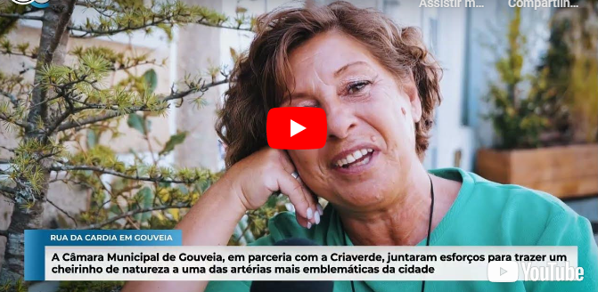 Rua da Cardia em Gouveia ganhou uma nova vida | Criaverde