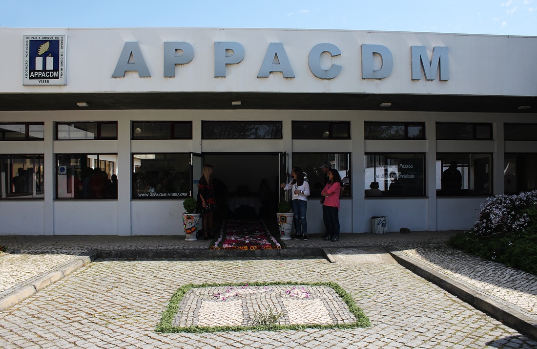 APPACDM de Viseu anuncia investimentos na ordem dos seis milhões de euros