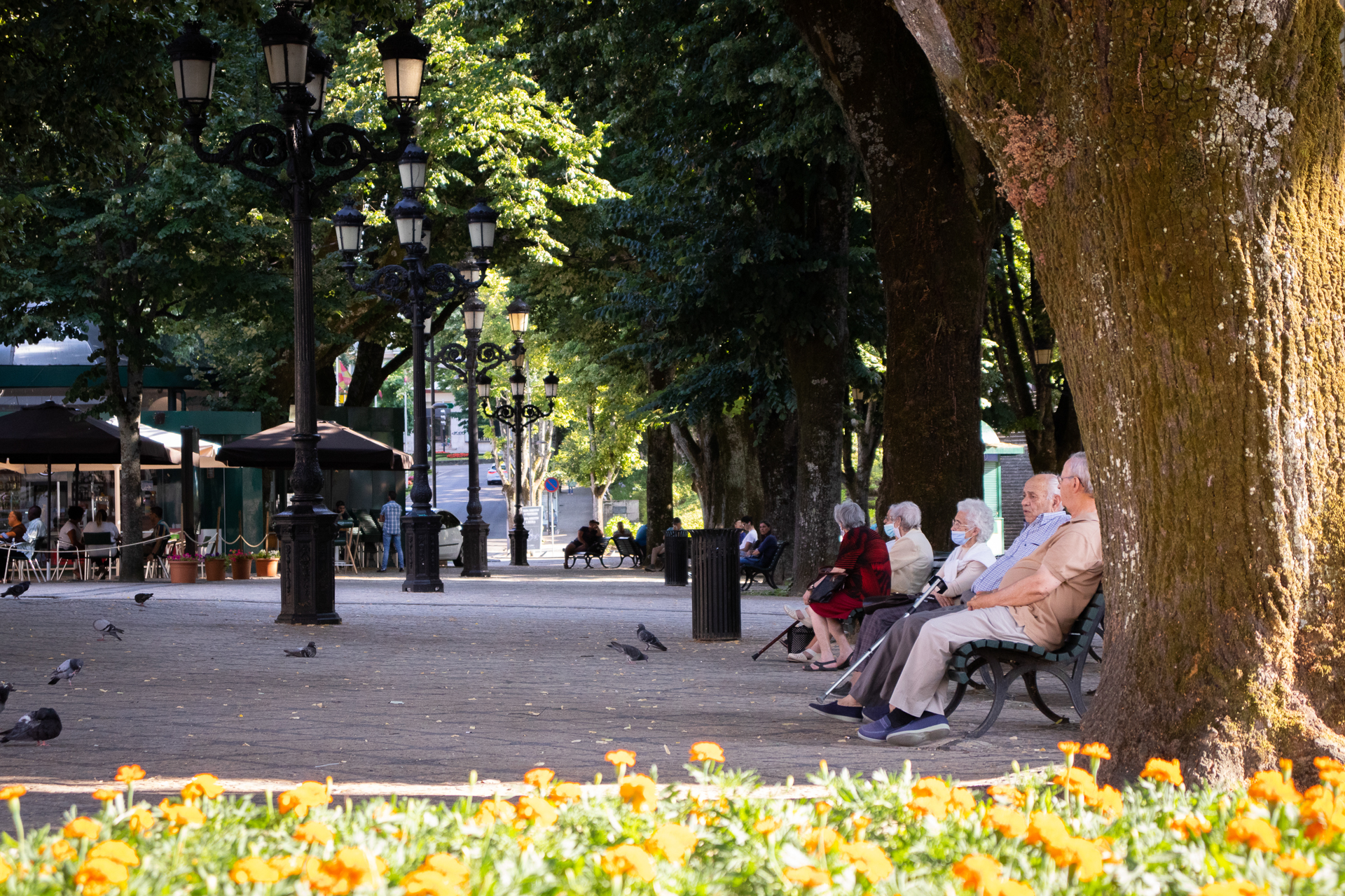 Viseu tem mais que um Rossio, já teve um passeio público D. Fernando e ...