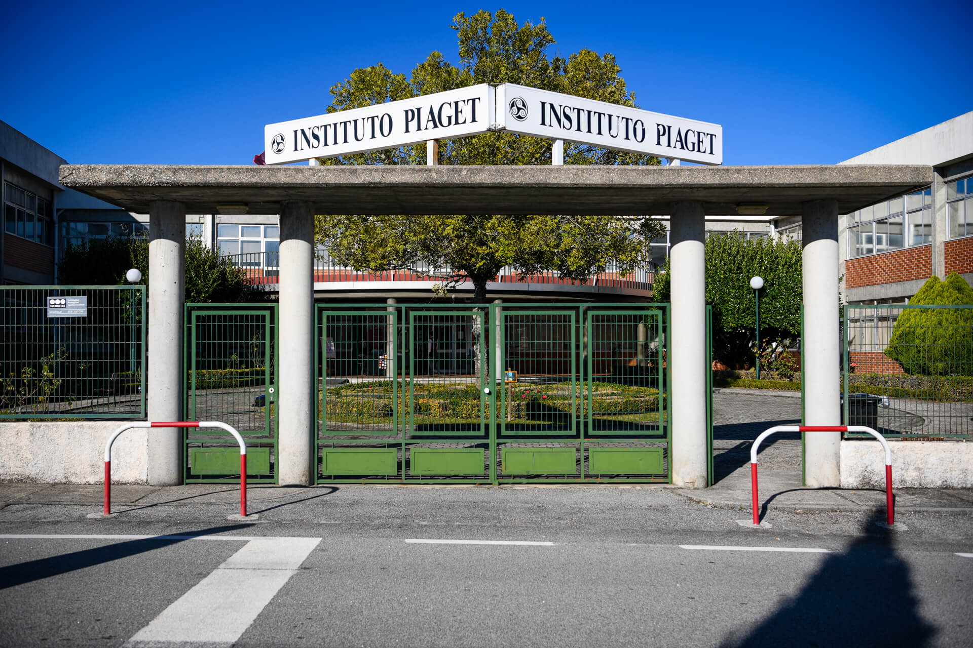 Instituto Piaget quer incentivar ao sucesso dos alunos e reduzir o ...