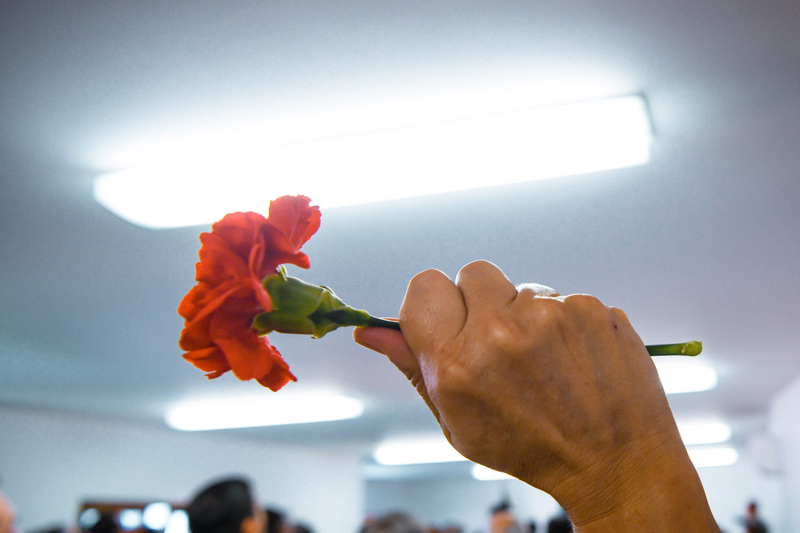 Livro de Acácio Pinto sobre autarcas e propaganda marca os 50 anos do ...