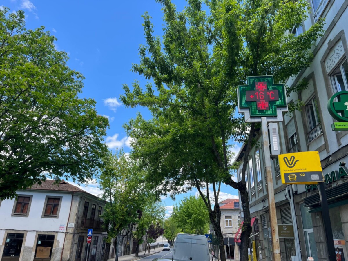 Mortágua chegou aos 38,3 graus de máxima na quinta-feira, o dia mais ...
